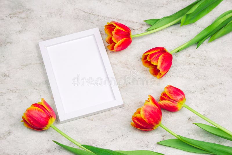 Blank White Frame and Tulips Frame on a Marble Background Stock Image ...