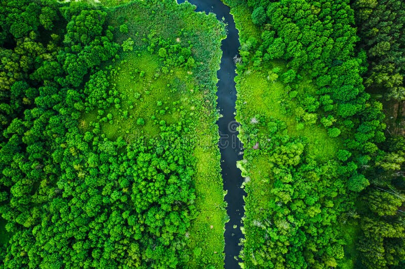 Top View of Blooming Algae on the Lake, Flying Above Stock Photo ...
