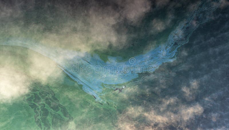 Top View of Blooming Algae on a Pond Stock Image - Image of plants ...