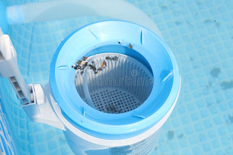 Top View of the Blue Skimmer for Cleaning the Pool in Clear Water ...