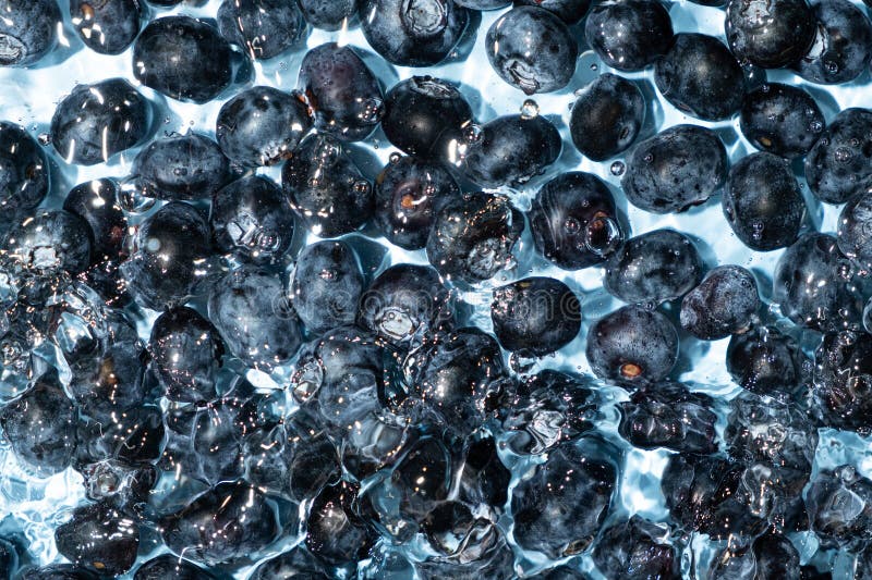 Top View of Blueberries Splashing in Water Stock Image - Image of aqua ...
