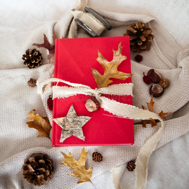 Top View of a Book with a Red Cover on the Table with Dry Leaves and ...