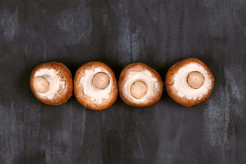 Top View of Bottom Side of Whole Raw Brown Button Mushrooms Lined Up in ...