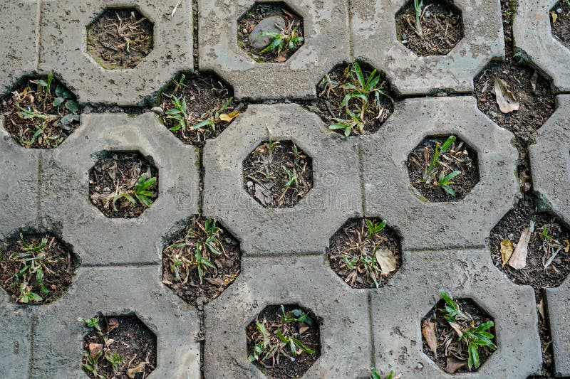 Top View of Brick Floor with Sunlight in the Morning Stock Image ...