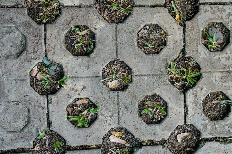 Top View of Brick Floor with Sunlight in the Morning Stock Photo ...