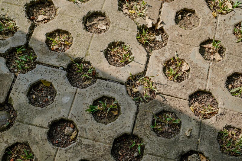 Top View of Brick Floor with Sunlight in the Morning Stock Photo ...
