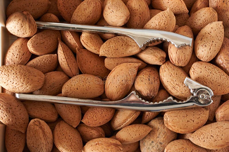 Top View of Broken Metal Nutcracker on the Almond Nuts. Stock Photo ...