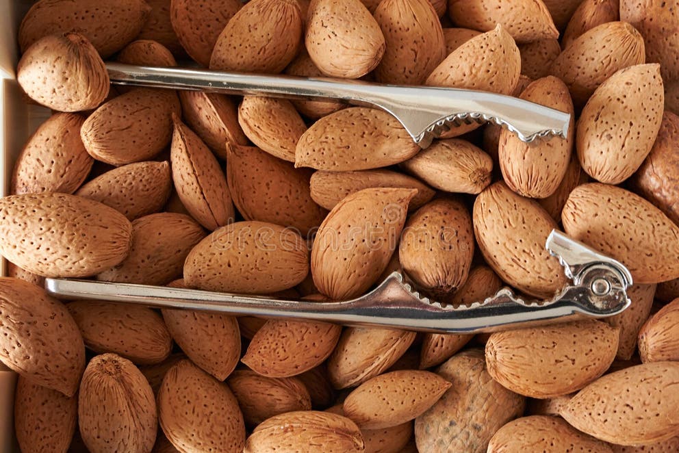 Top View of Broken Metal Nutcracker on the Almond Nuts. Stock Photo ...