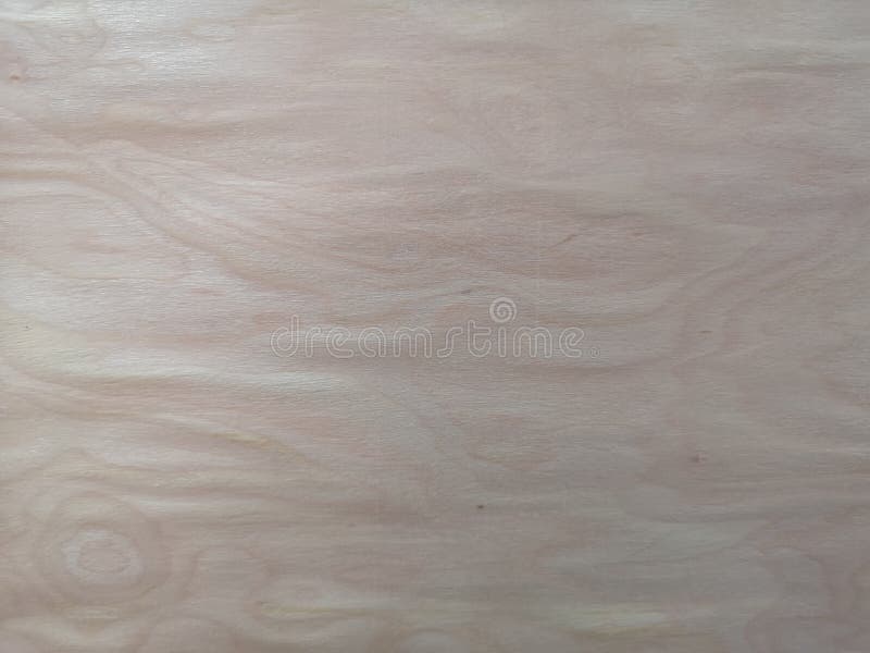 Top View Brown Wood Pattern Natural Burr Texture and Surface Material ...