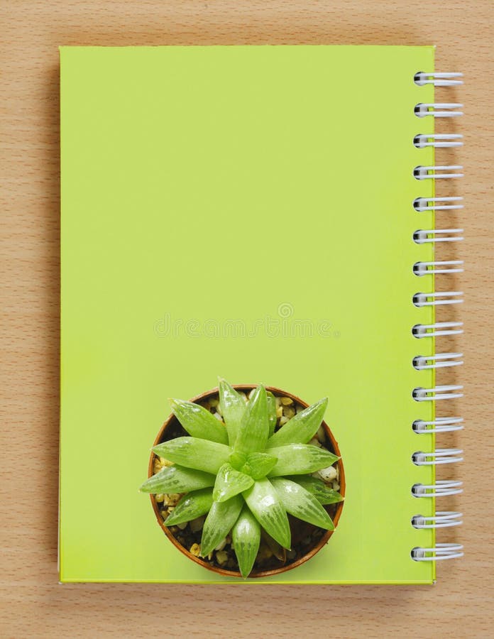 Top View of a Cactus on Booklet Stock Image - Image of book ...