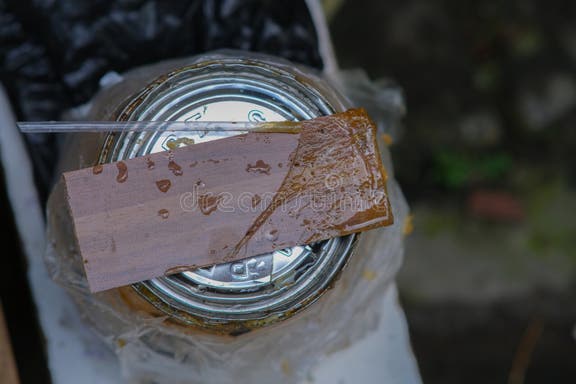 Top View a Can of Glue Negative Space Stock Photo - Image of close, hand: 276745268