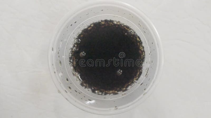 Top View, Carbon Dioxide Bubbles in a Plastic Cup with Cola Stock Video ...