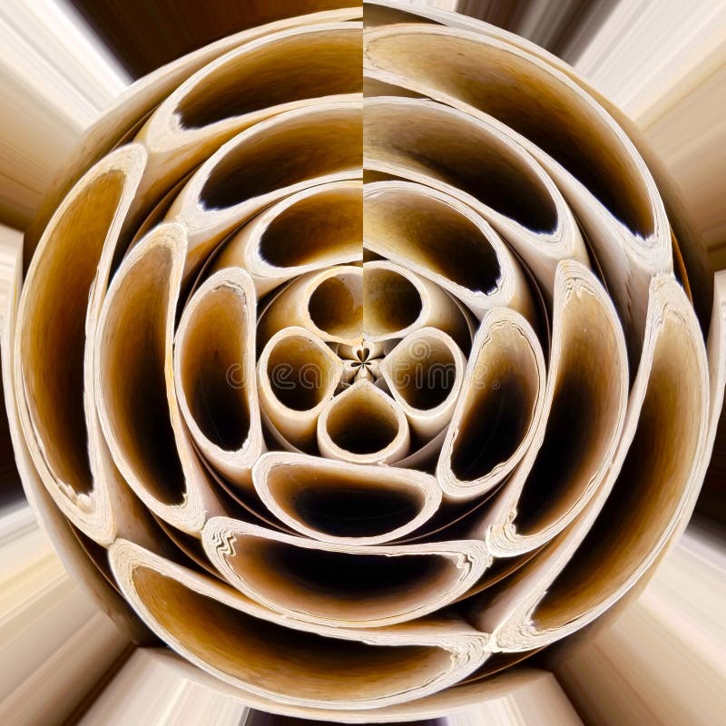 Top View of Cardboard Sleeves in a Box Stock Image - Image of recycling ...