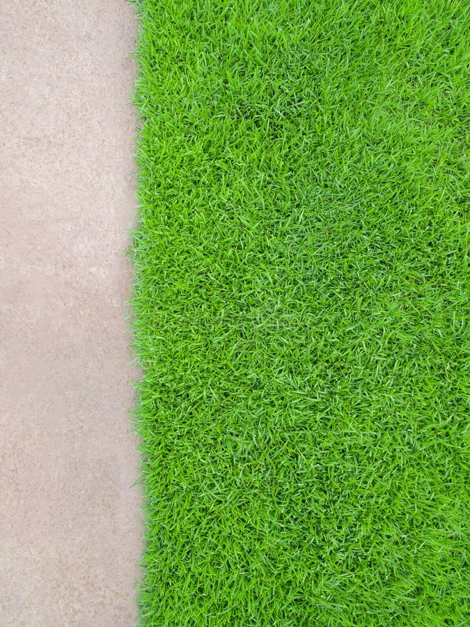 Top View of Cement Floor and Meadow Stock Image - Image of decoration ...