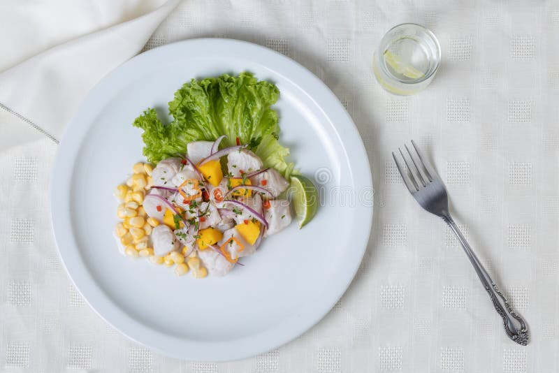 Top View of Ceviche, Typical Fish-based Dish of Peruvian Cuisine Stock ...