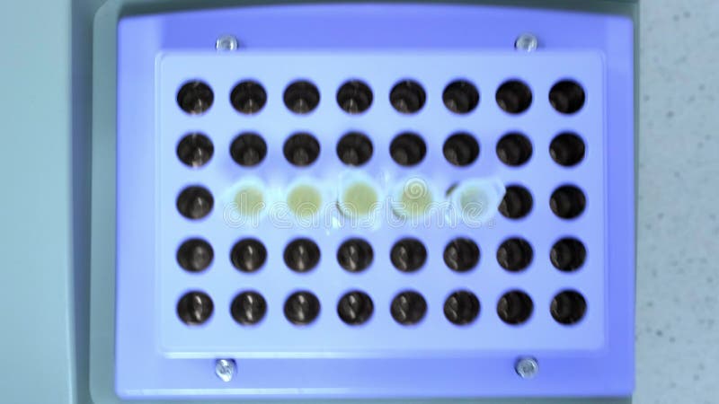 Top View Chemist Inserts a Test Tube into Thermo Shaker and Start the ...