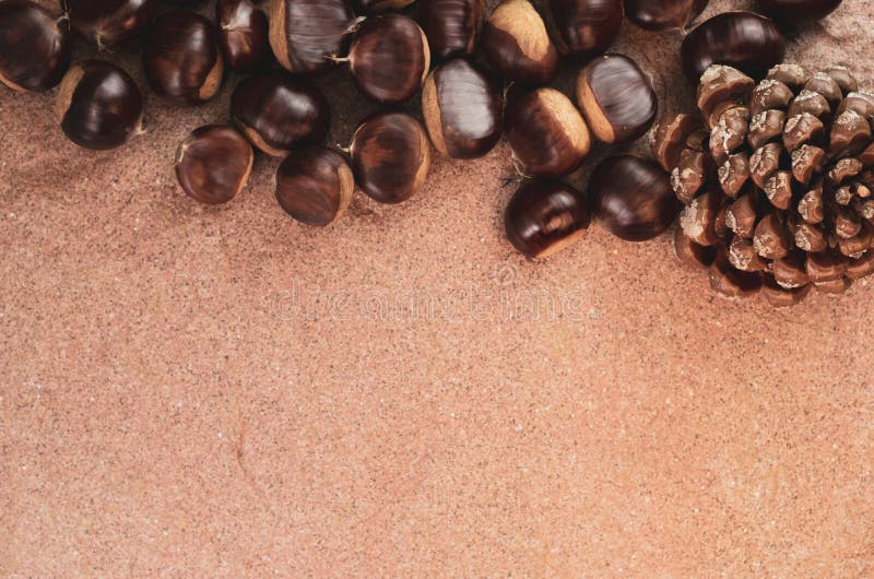 Top View of Chestnuts with a Pine Cone on a Corkboard Stock Image ...