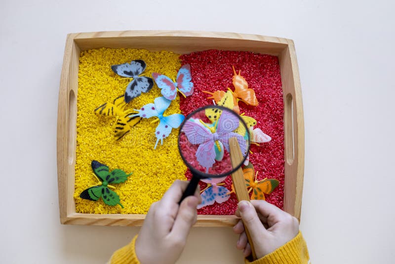 Top View of Child Hands, Sensory Box in Montessori School. Copy Space ...