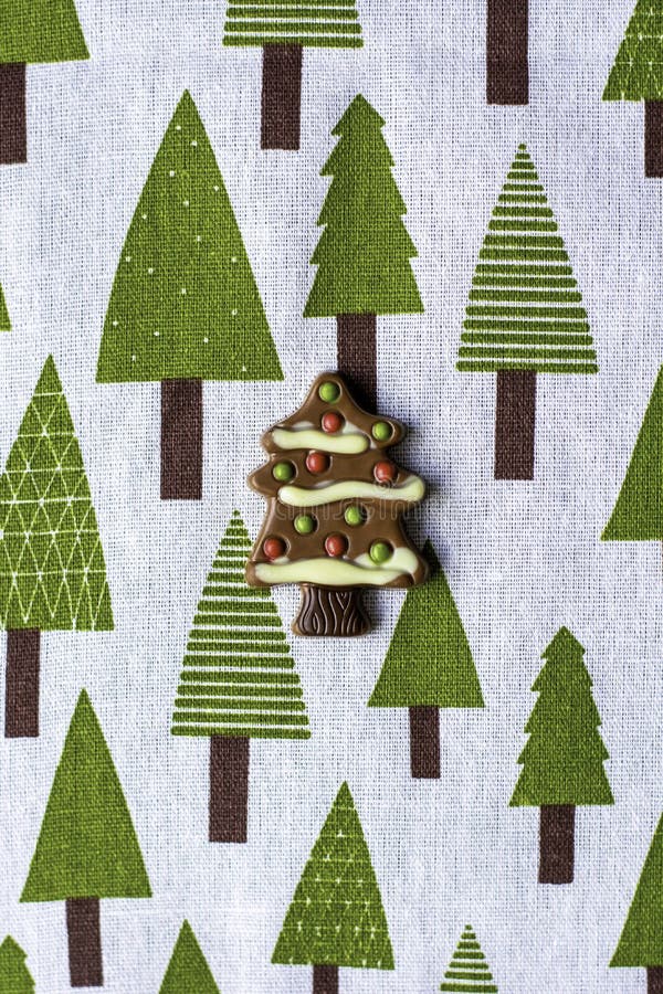 Chocolate Tree Cacao Fruit in the Garden. Harvest Day Blur Bokeh ...