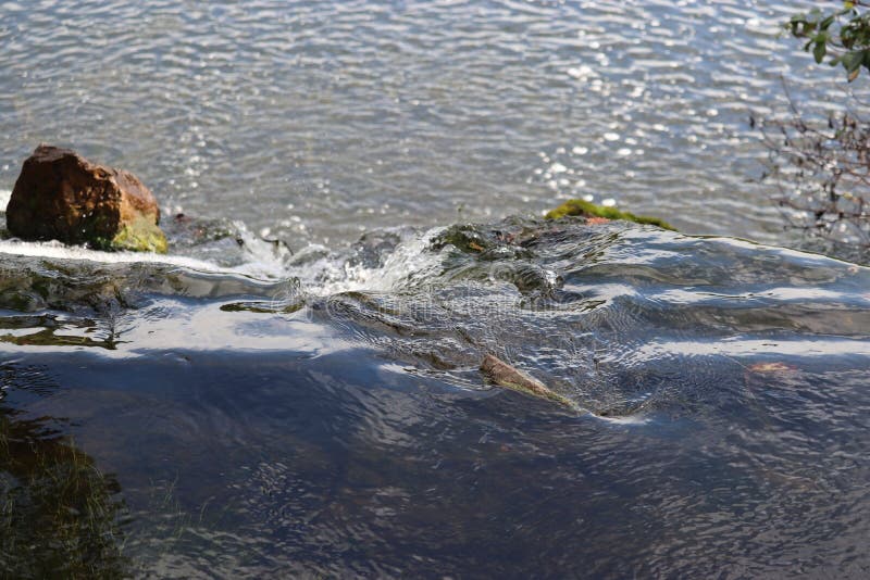 Top View of Clear Stream Surface Flowing by Mossy Rocks Stock Image ...