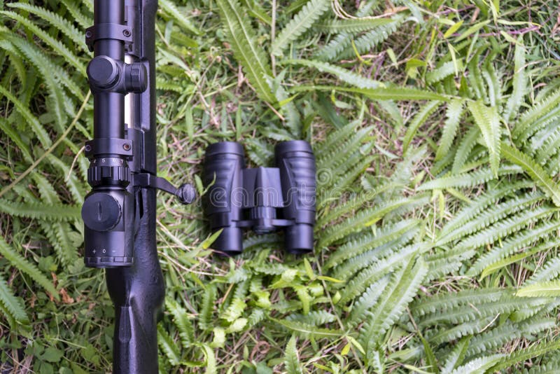 Top View Close Up Rifle and Binoculars on Grass Floor with Copy Space ...