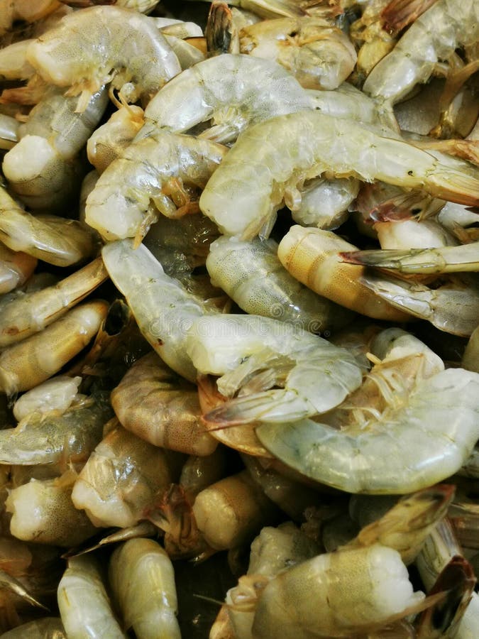 Top View of a Close Up of Uncooked Shrimp Background. Stock Image ...