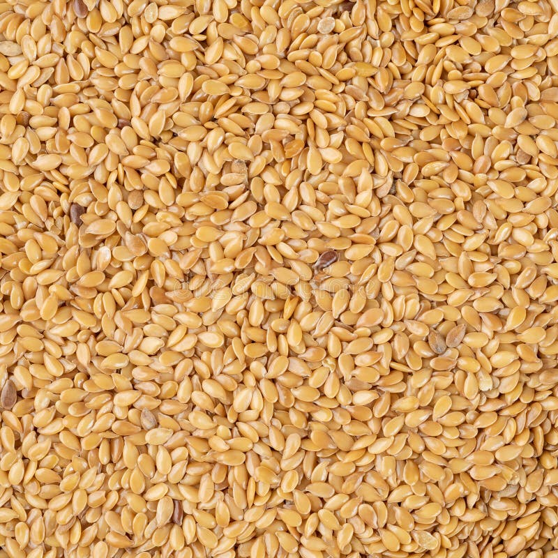 Golden Linseed / Flax Seeds Stock Photo - Image of layer, plant: 28639352