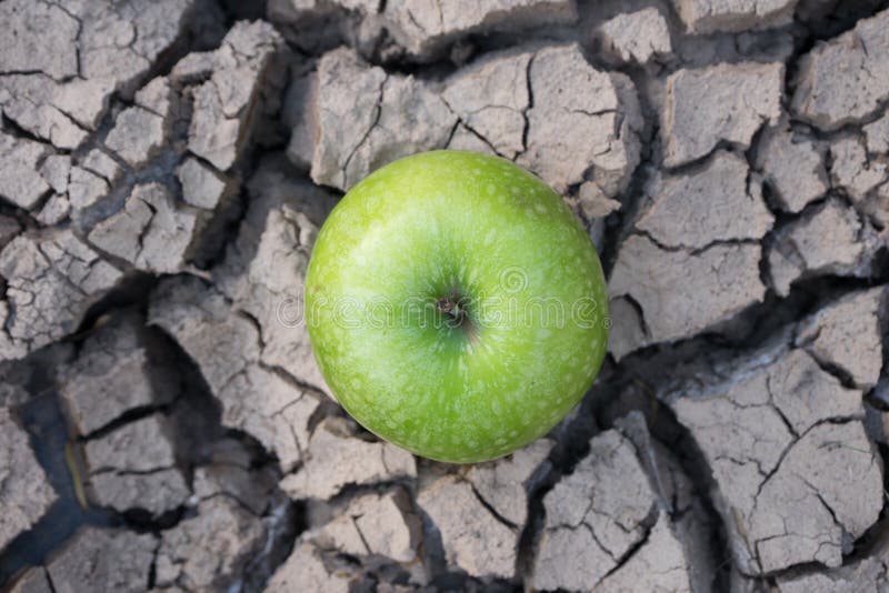 Top View Closeup of a Green Apple on a Cracked Stone Background Stock ...