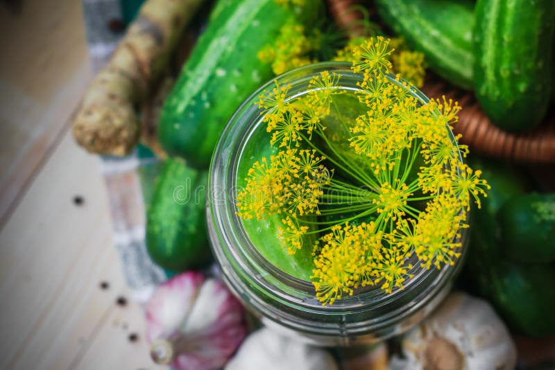 Top View Closeup Jar Pickles Other Ingredients Pickling Stock Image ...