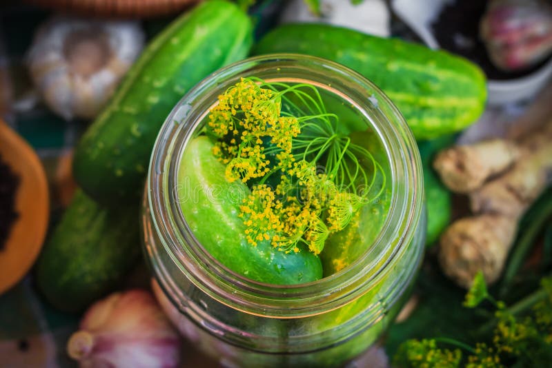 Top View Closeup Jar Pickles Other Ingredients Pickling Stock Image ...