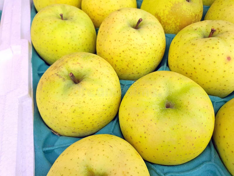Apples for sale stock photo. Image of harvest, colourful - 270541814