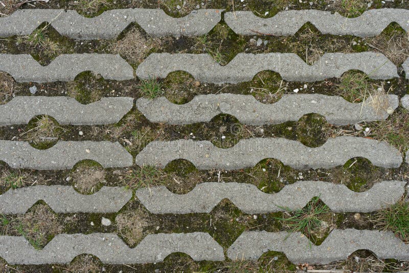 Top View Closeup of Stone Pavement Pattern with Grass, Moss and Rocks ...