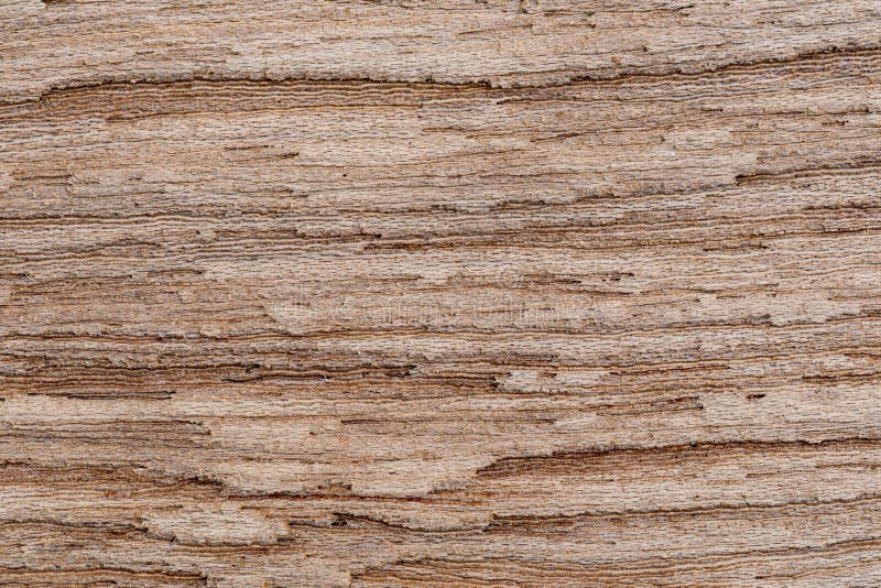 Top View Closeup Texture of Old Light Brown Rotten Wooden Board Stock ...