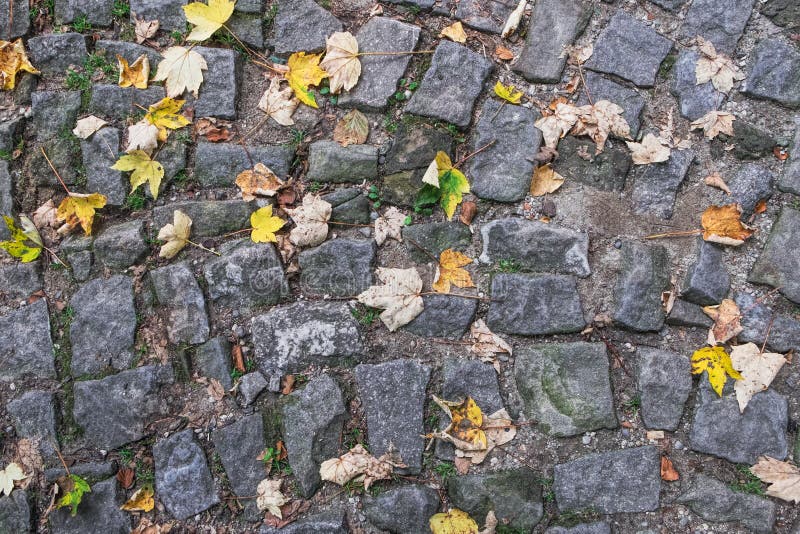 Top View Of A Cobblestone Road Stock Image - Image of city, cobbled ...