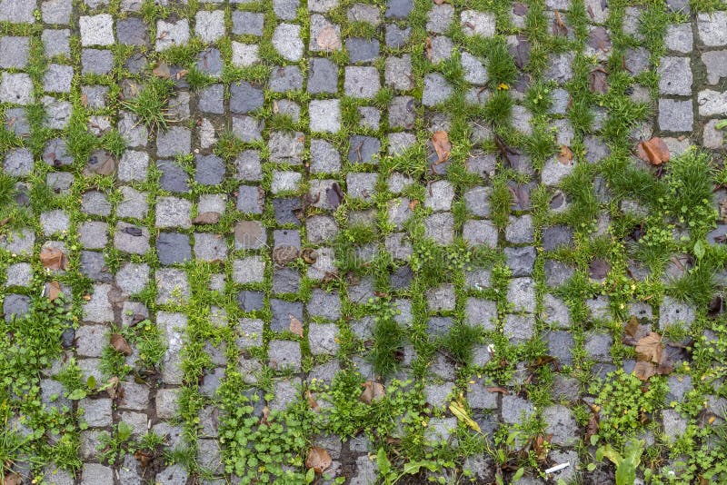 Cobblestone Texture with Grass between Blocks Stock Photo - Image of ...