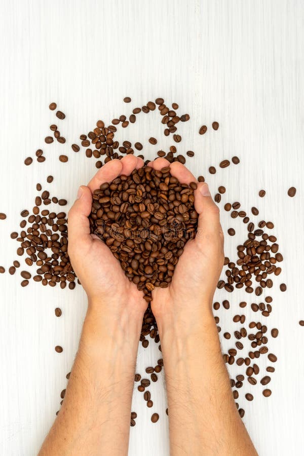 Coffee Beans in Human Hands Stock Photo - Image of natural, coffee ...