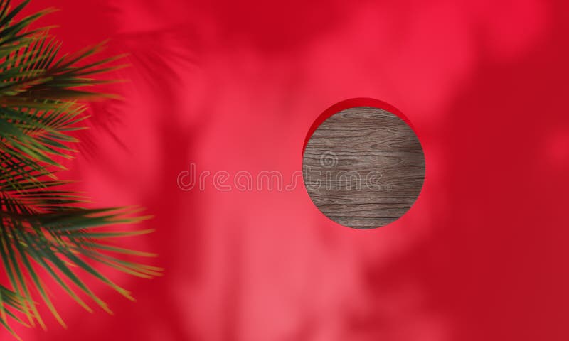 Top View with Colorful Background Snd Tree Stand or Podium on ...