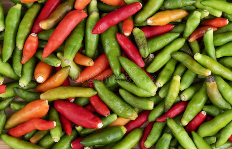 Top View Colorful Bird Chilli Background Stock Photo - Image of asian ...