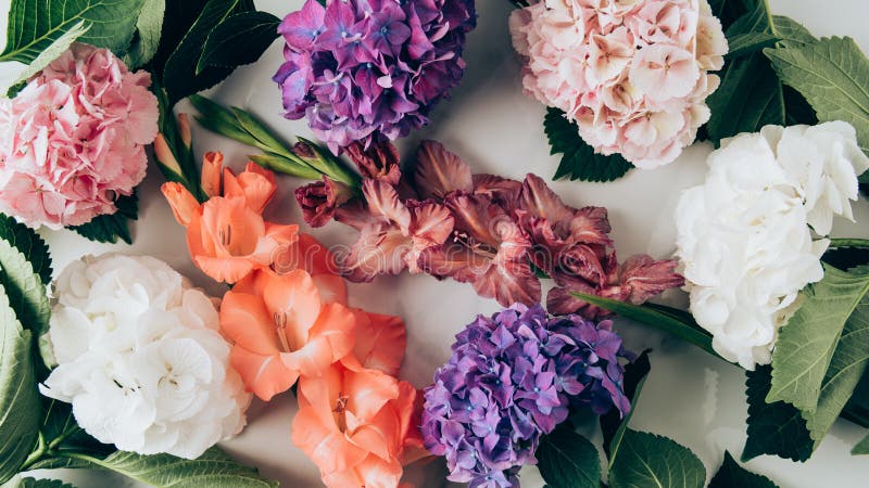 Top View of Colorful Hydrangea and Gladioluses Flowers on Marble Stock ...