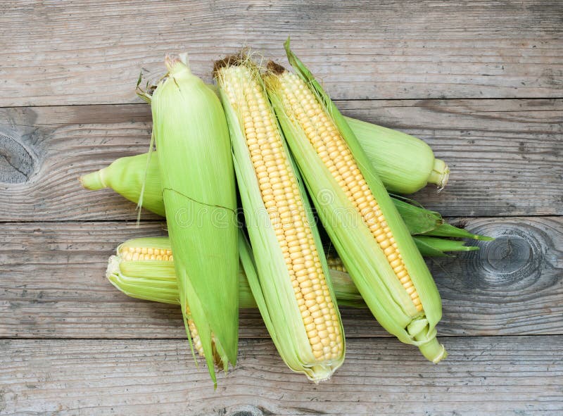 Top View of Corn Cobs on Rustic Wooden Unpainted Tabletop Stock Photo ...