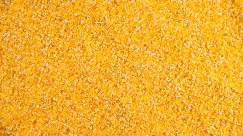 Top View of the Corn Field at Sunset or Sunrise with a Cloudy Sky Stock ...