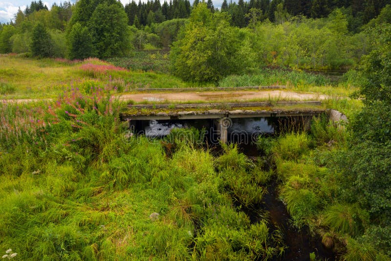 Collapsing Old Bridge Over an Overgrown River Stock Image - Image of ...