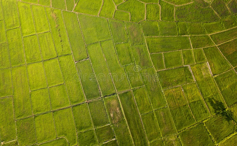 Top View of Countryside Road Passing through the Green Forrest and ...