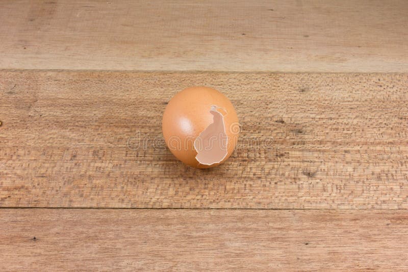 Top View of a Cracked Empty Egg Shell on Wooden Surface Stock Image ...