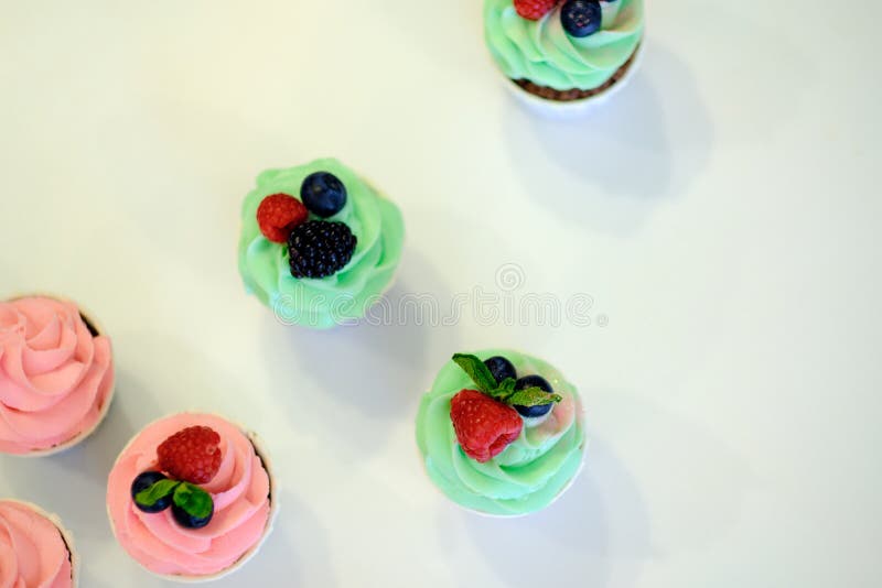 Top View Cupcakes with Frosting Isolated on White Stock Image - Image ...