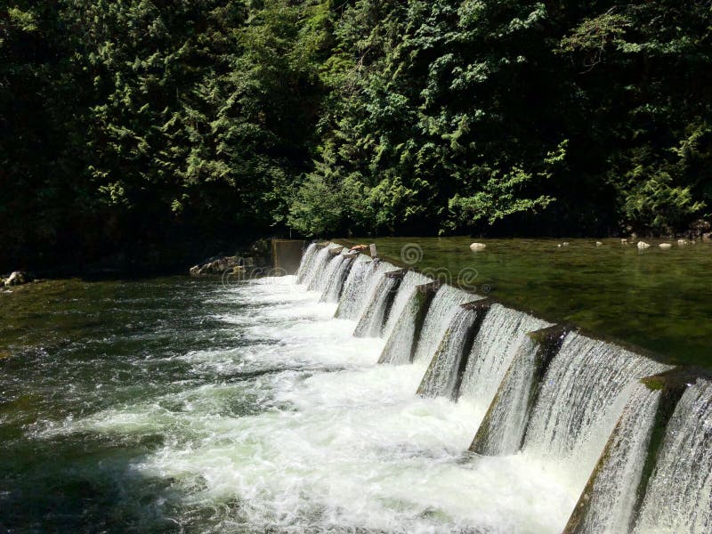 Top View of Dam on a River Surrounded by Lush Green Trees Stock Image ...