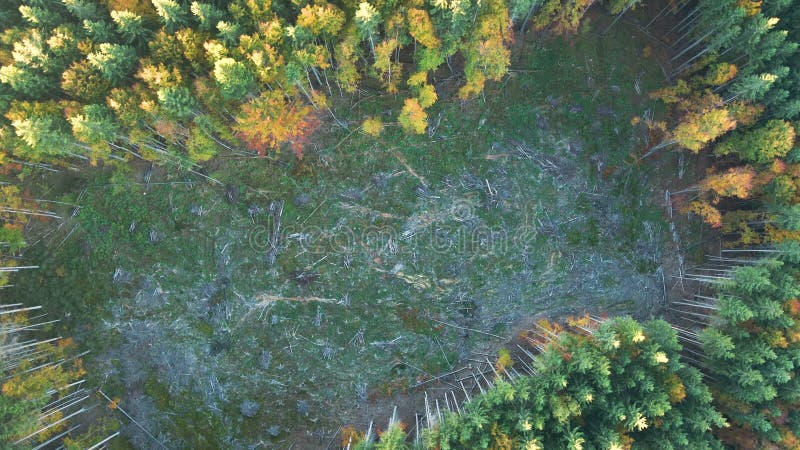 Top View of Dark Mountain Hills Covered with Bare Patches of Cut Down ...