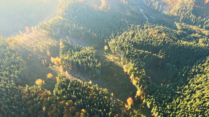 Top View of Dark Mountain Hills Covered with Bare Patches of Cut Down ...
