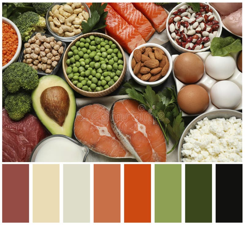 Top View of Different Products Rich in Protein and Color Palette ...