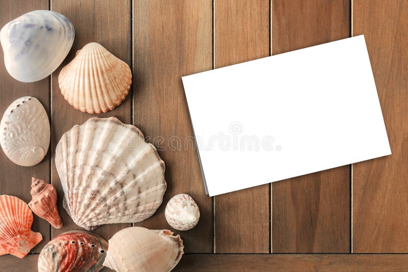 Top View of Different Sea Shells with Empty White Note Paper on Wooden ...